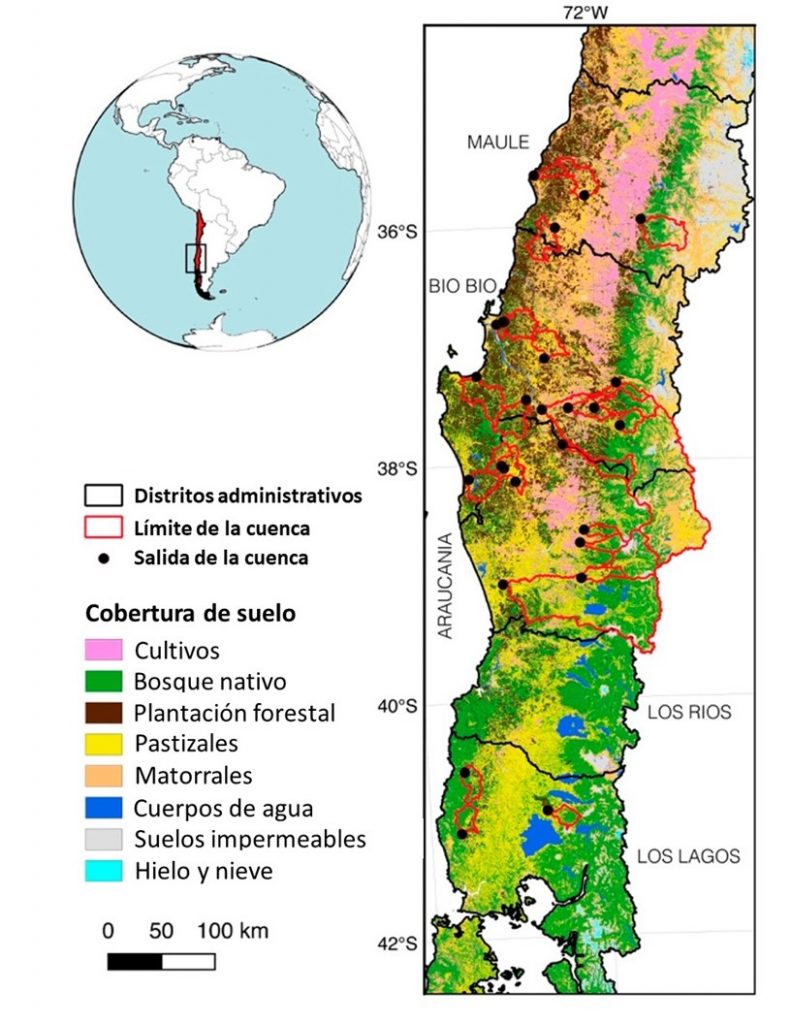 Policy Brief Cr 2 El Impacto Del Bosque Nativo Y Las Plantaciones