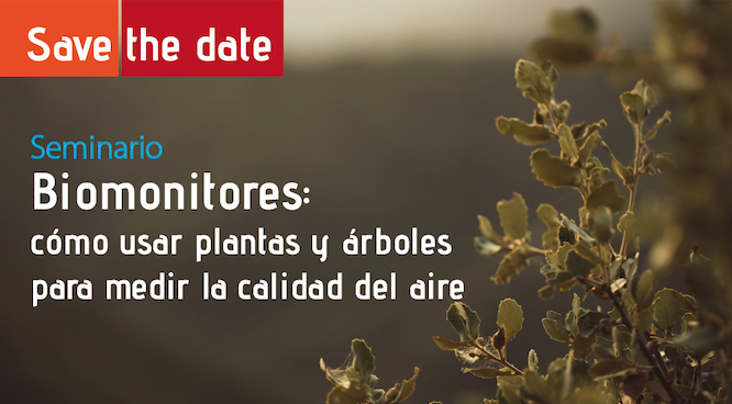 22 de enero | Seminario «Biomonitores: cómo usar plantas y árboles para ...