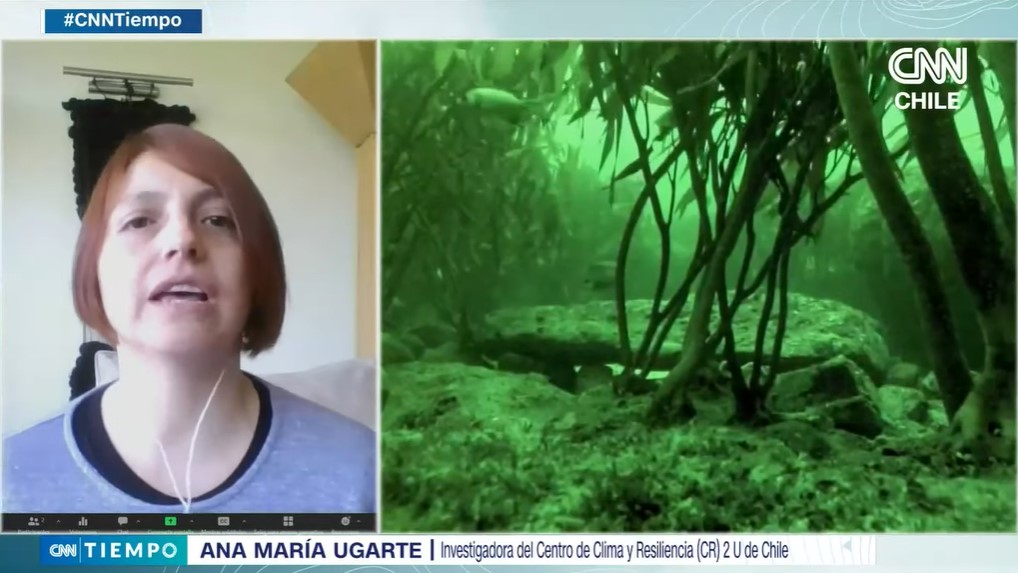 Entrevista Ana María Ugarte CNN | Centro de Ciencia del Clima y la ...