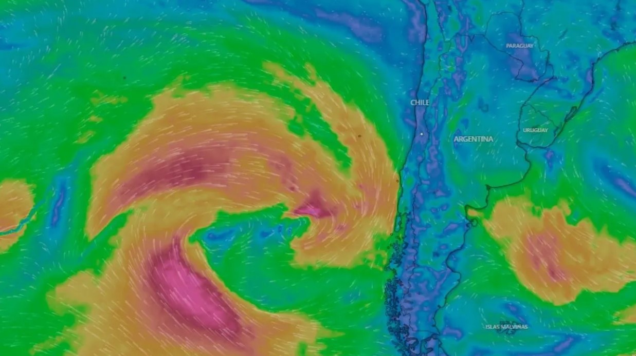 Experto llamó a la calma y apuntó que “es una gran exageración lo del ...