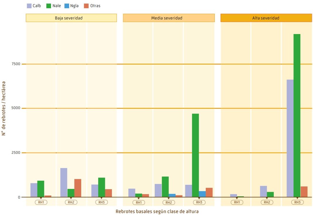Policy brief CR2 | Incendios forestales e invasión de Pinus radiata ...