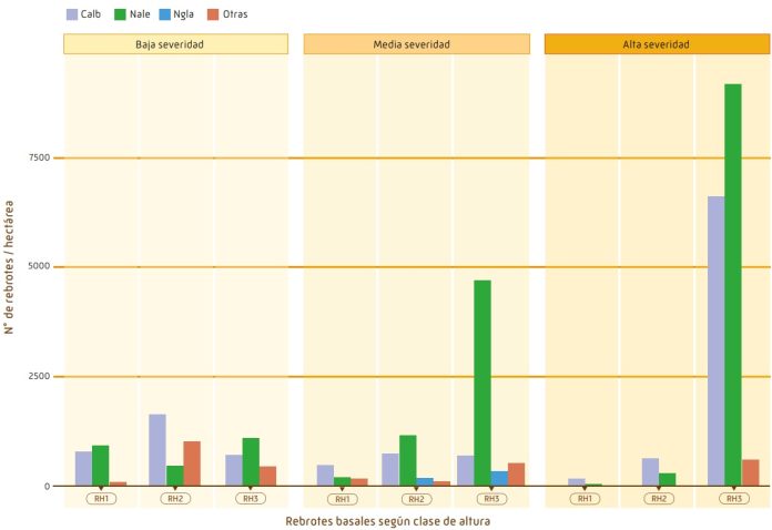 Policy brief CR2 | Incendios forestales e invasión de Pinus radiata ...